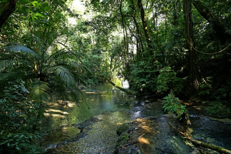 What is Brazil known for? 8 things Brazil is famous for